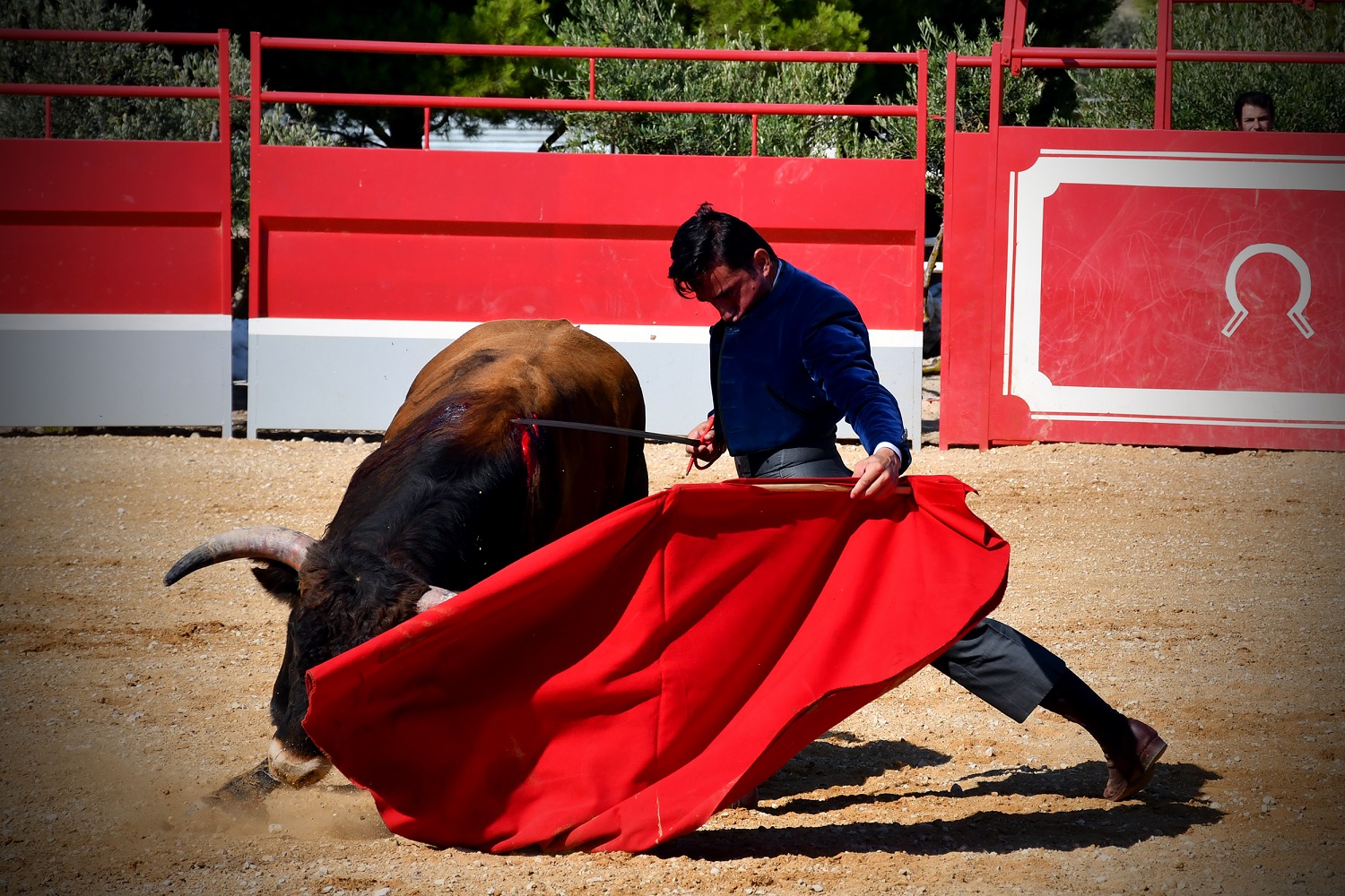 Los toreros zaragozanos se preparan en toros de Guerrero