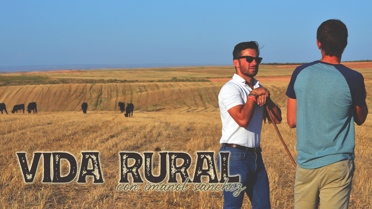 VIDA RURAL, el blog para apoyar la vida en los pueblos